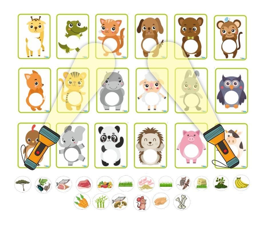 Čo jedia zvieratá – KasTenKidz